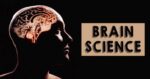 Brain Science: 10 Uses In Mental Health Treatment