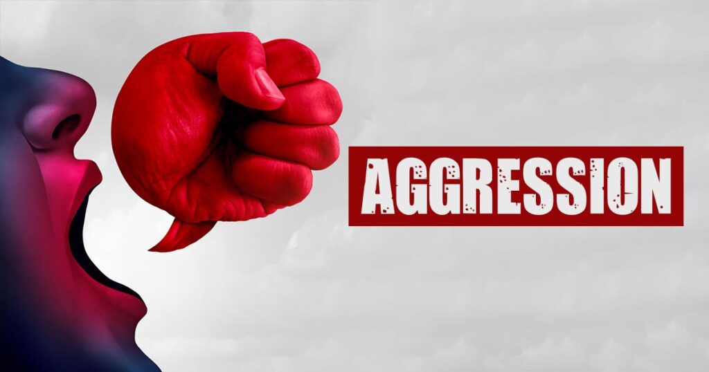 Aggression: 10 Signs, Causes, Types, Steps To Control It
