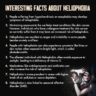 What Is Heliophobia? 15 Signs, Causes And Coping Tips