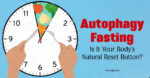 6 Powerful Autophagy Fasting Benefits To Discover